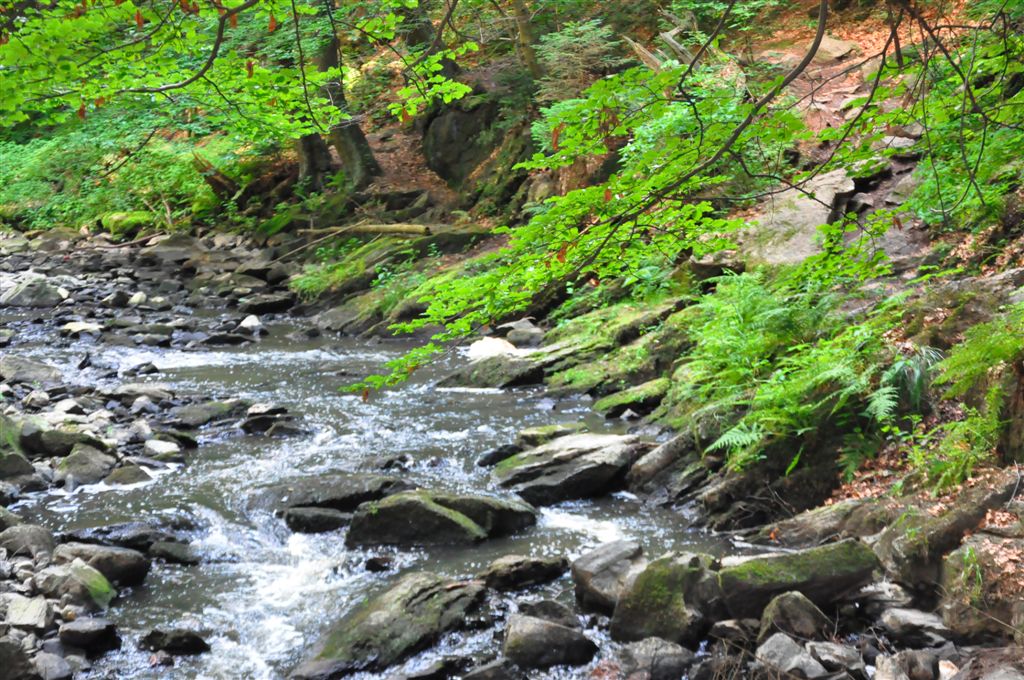 Údolí řeky Doubravy | Kam se vydat.cz